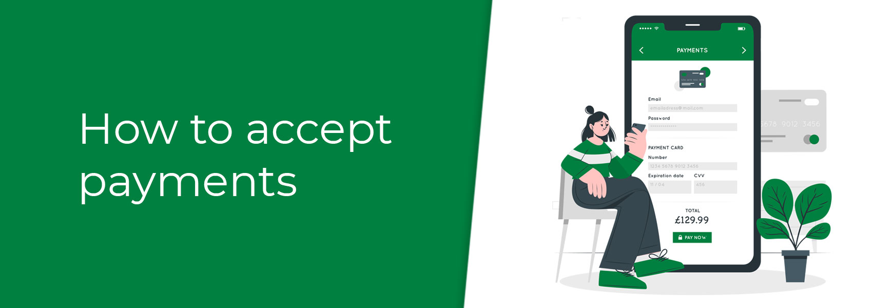 How to accept payments - Bluepark.co.uk