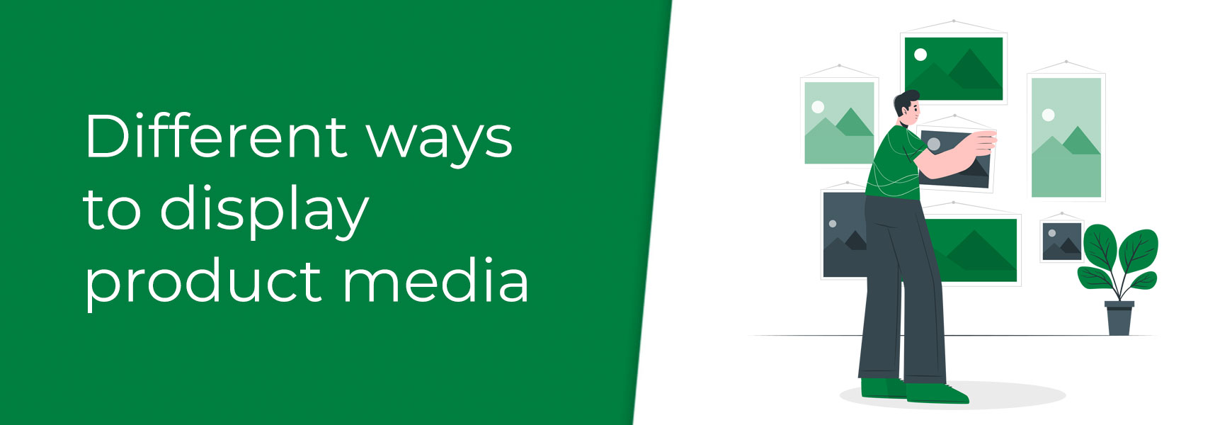 Different ways to display product media - Bluepark.co.uk